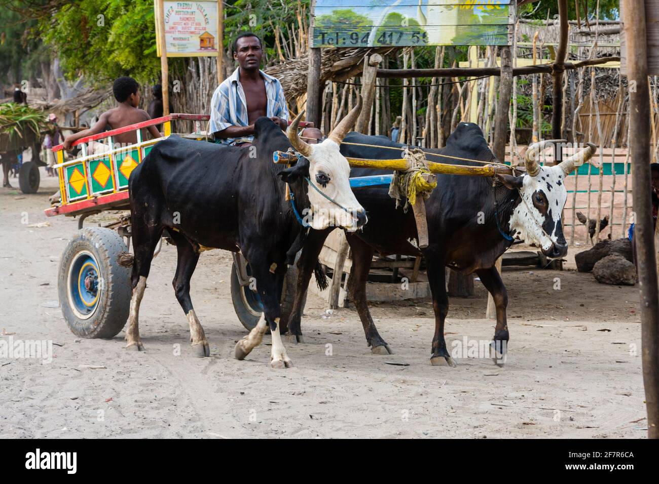 Madagascar transport hi-res stock photography and images - Alamy