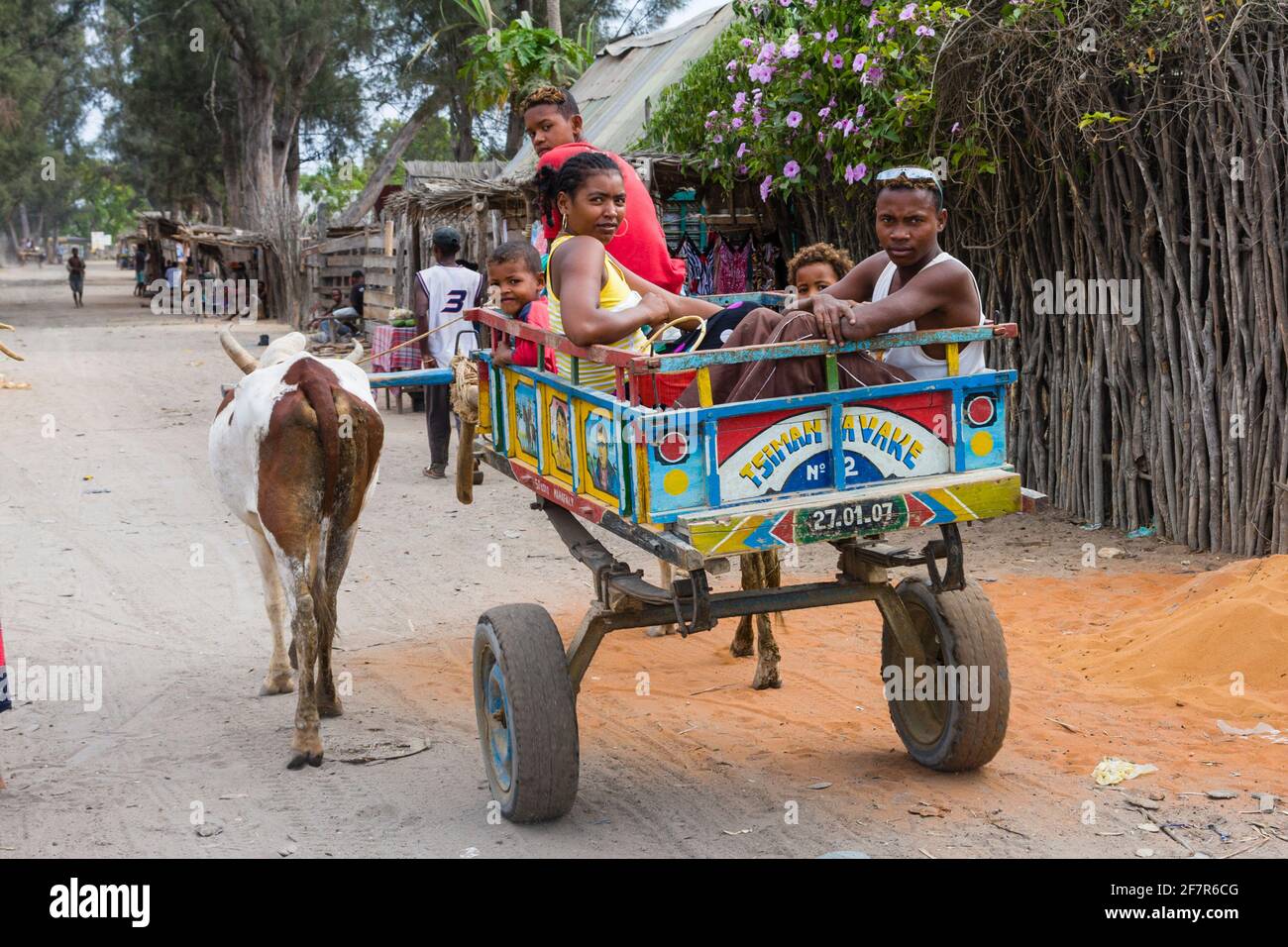 Madagascar transport hi-res stock photography and images - Alamy