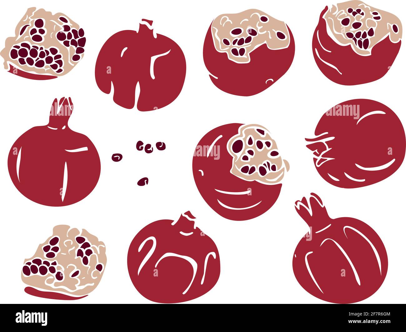 Vector set with pomegranate fruits. Design of colorful pomegranate ...