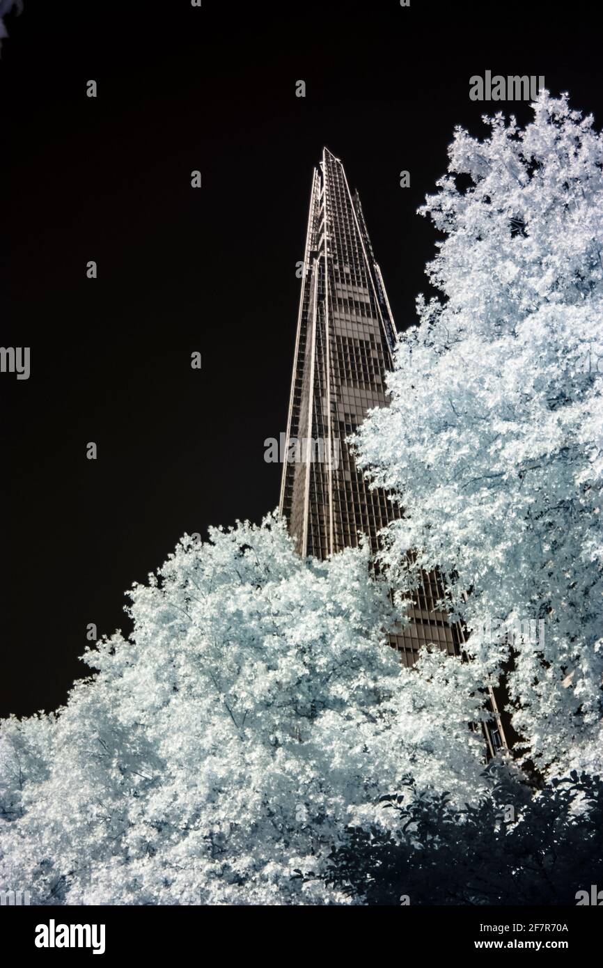 Vertical view of the iconic London Shard skyscraper and trees in ...