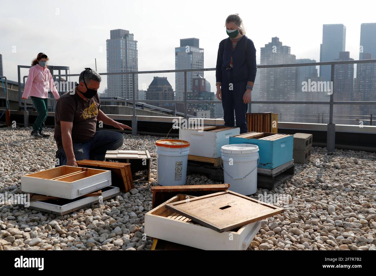 Bee hives rooftop hi-res stock photography and images - Alamy