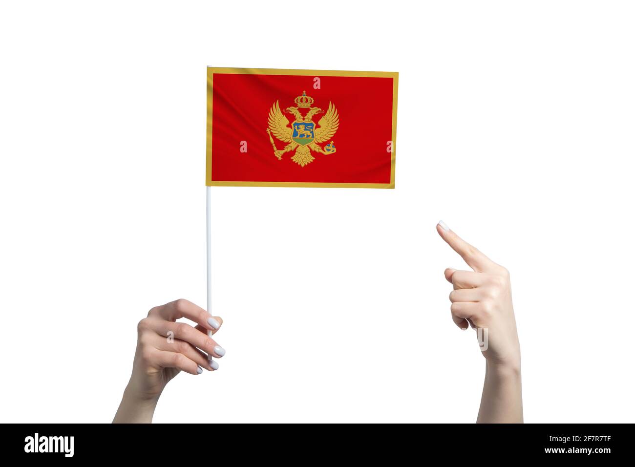 A beautiful female hand holds a Montenegro flag to which she shows the ...