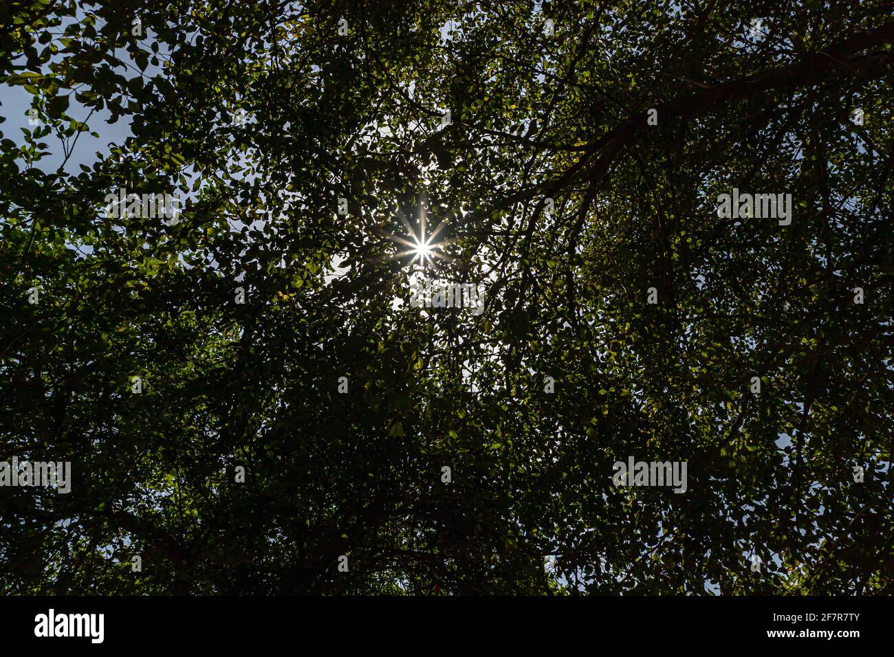 Light rays isolated hi-res stock photography and images - Alamy