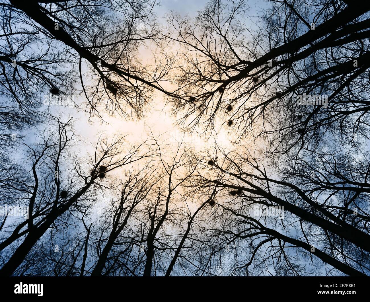 Beautiful sky photos hi-res stock photography and images - Alamy