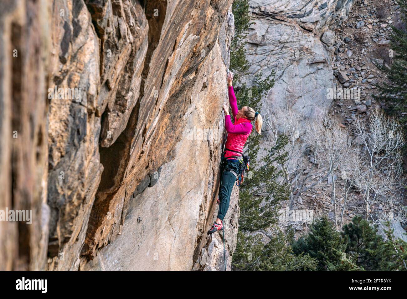 Woman rock climber navigates her up a rock face in Golden, CO Stock ...