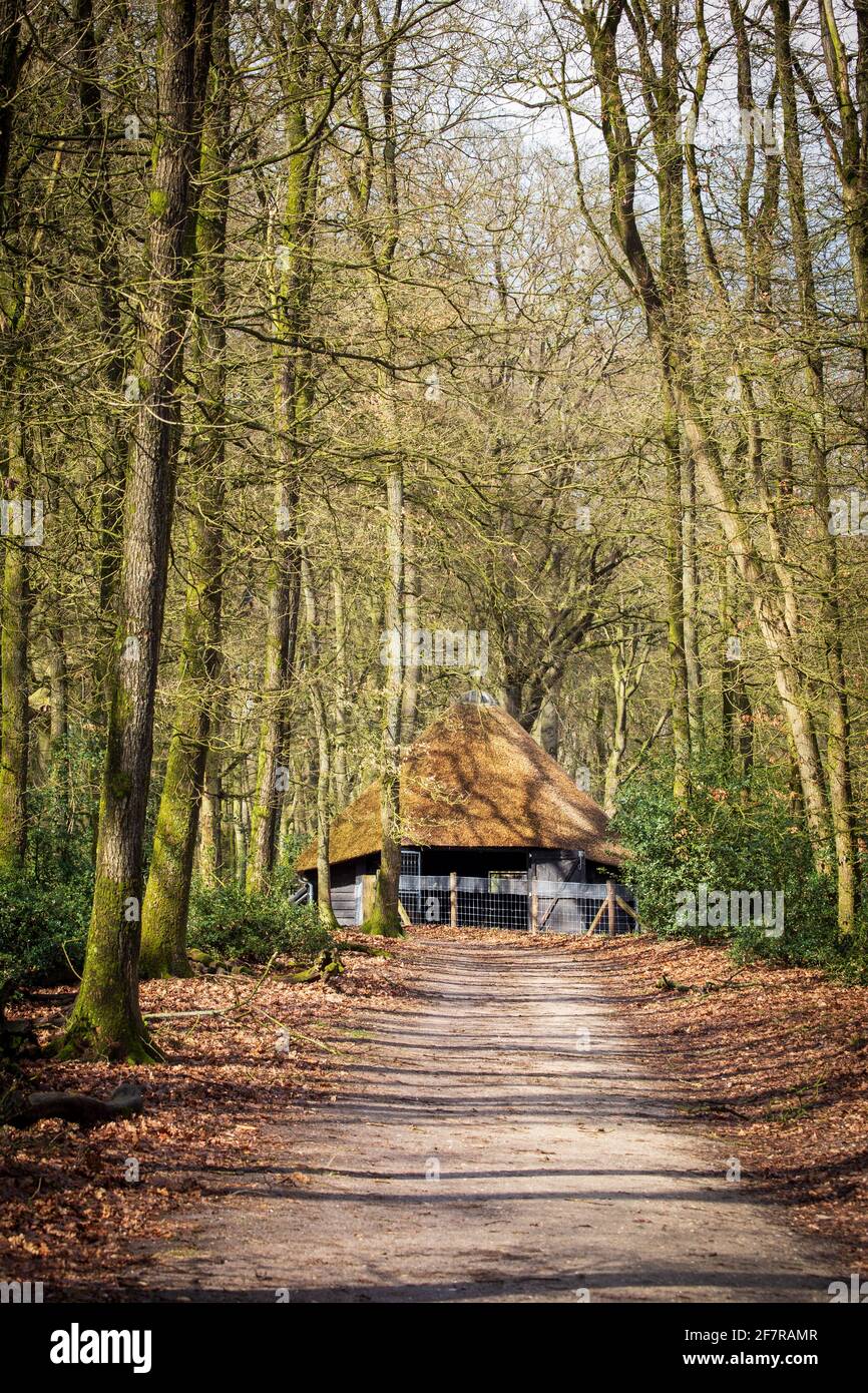 Front view of Dutch sheep barn at the coutnryside Stock Photo - Alamy