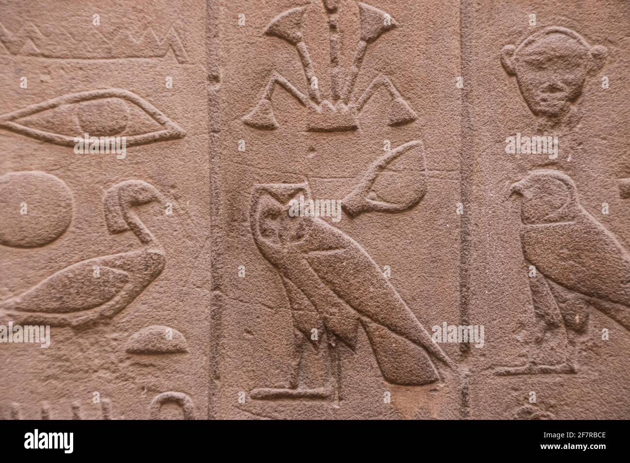 Ancient Egyptian writing, Egyptian hieroglyphs Stock Photo - Alamy