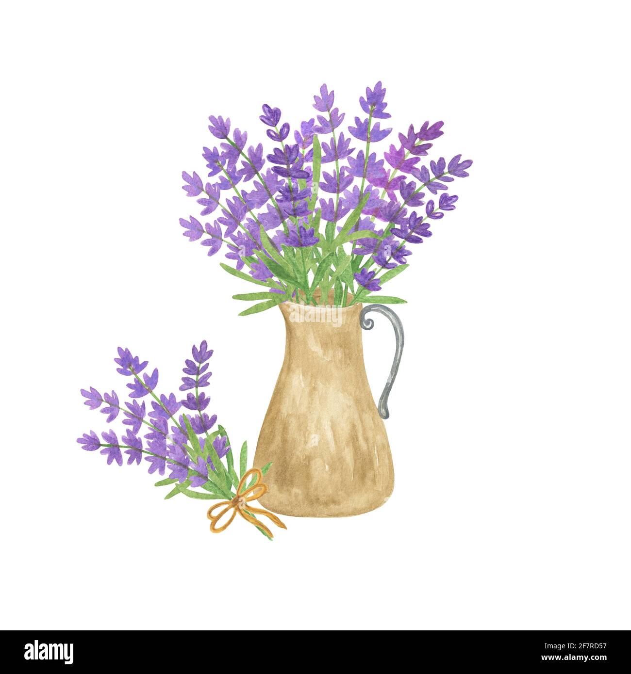 Hand Drawn Lavender High Resolution Stock Photography and Images - Alamy