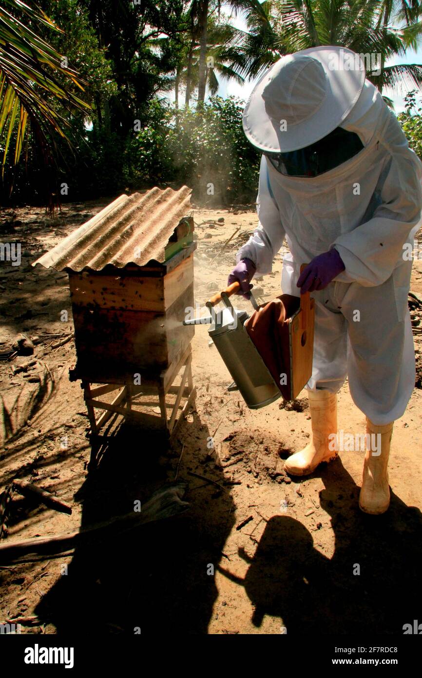 African beekeeper hi-res stock photography and images - Alamy