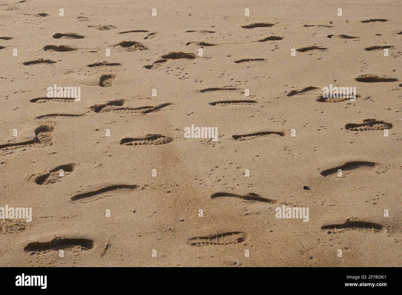 Beach with random people hi-res stock photography and images - Alamy