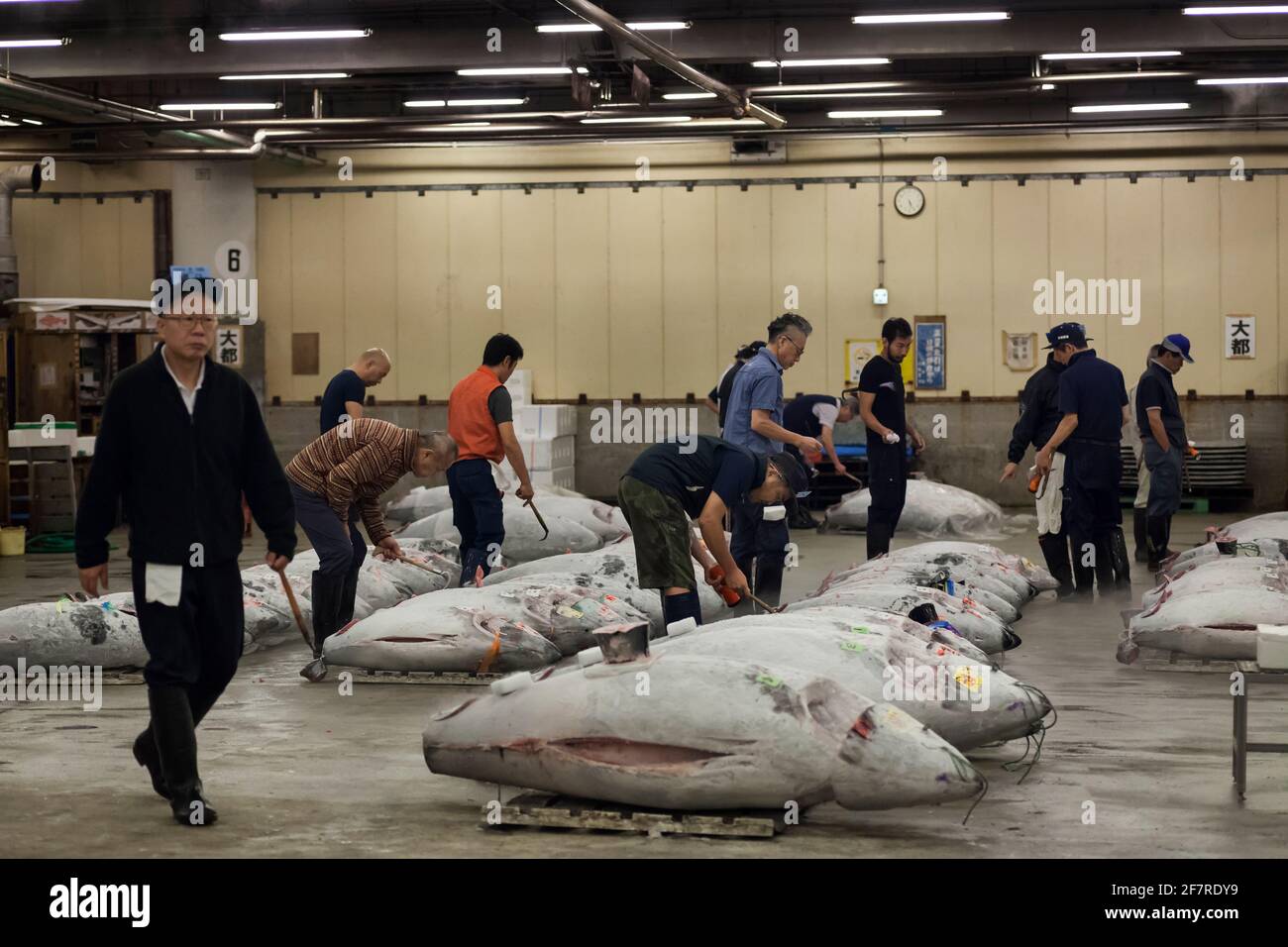 Auction of tuna hi-res stock photography and images - Alamy