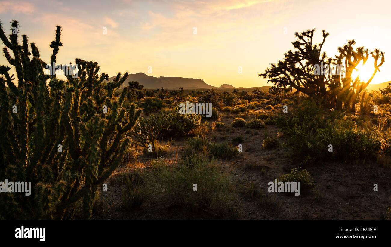 Desert scenery on the way to Nevada from Arizona. Sun setting behind ...