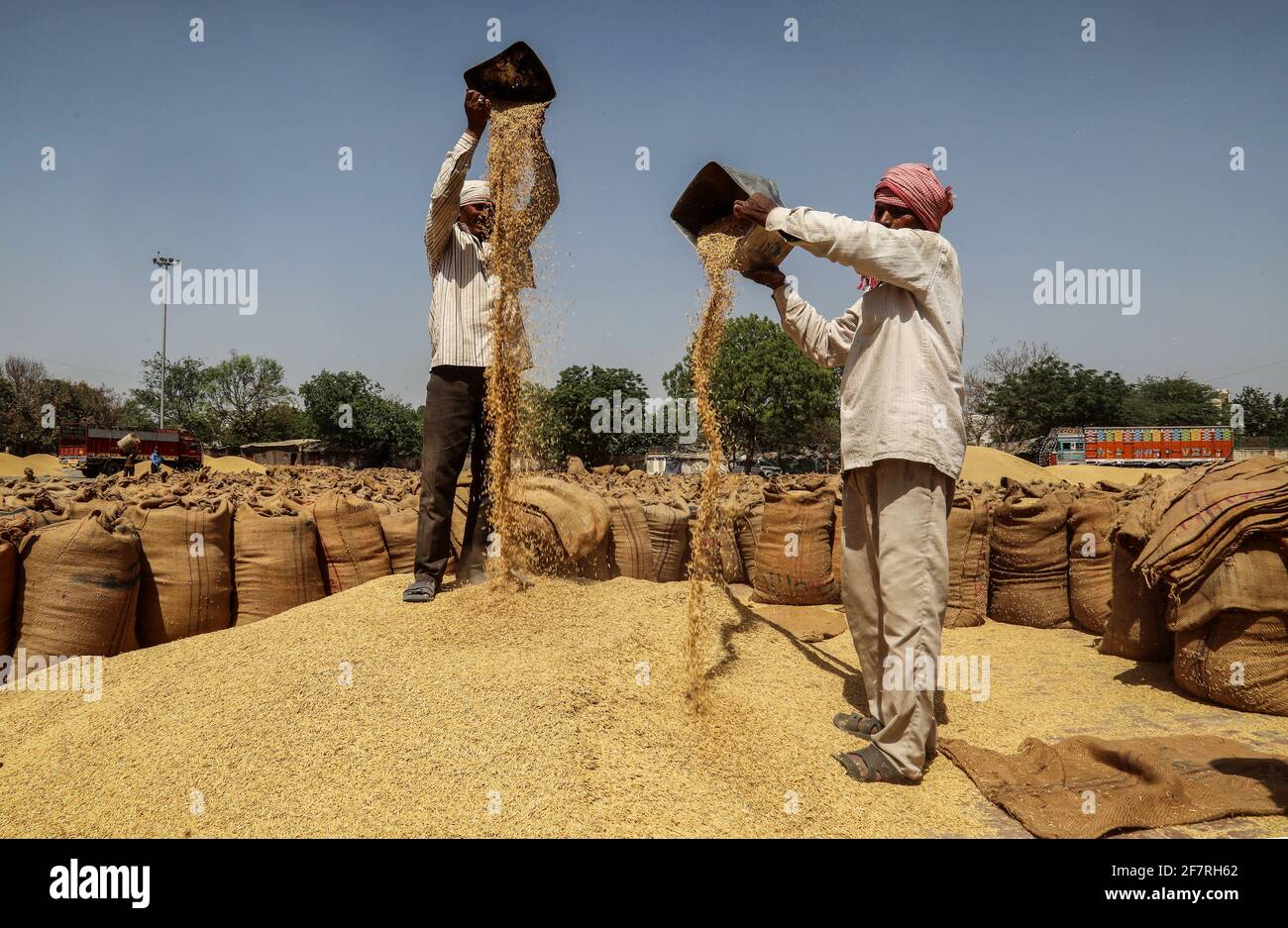 Narela mandi hi-res stock photography and images - Alamy