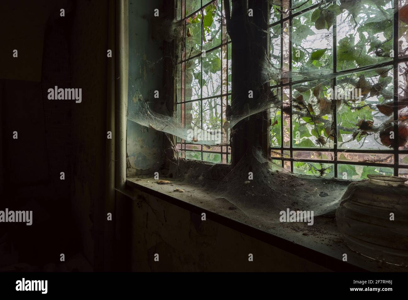 Broken window with spider webs Stock Photo - Alamy