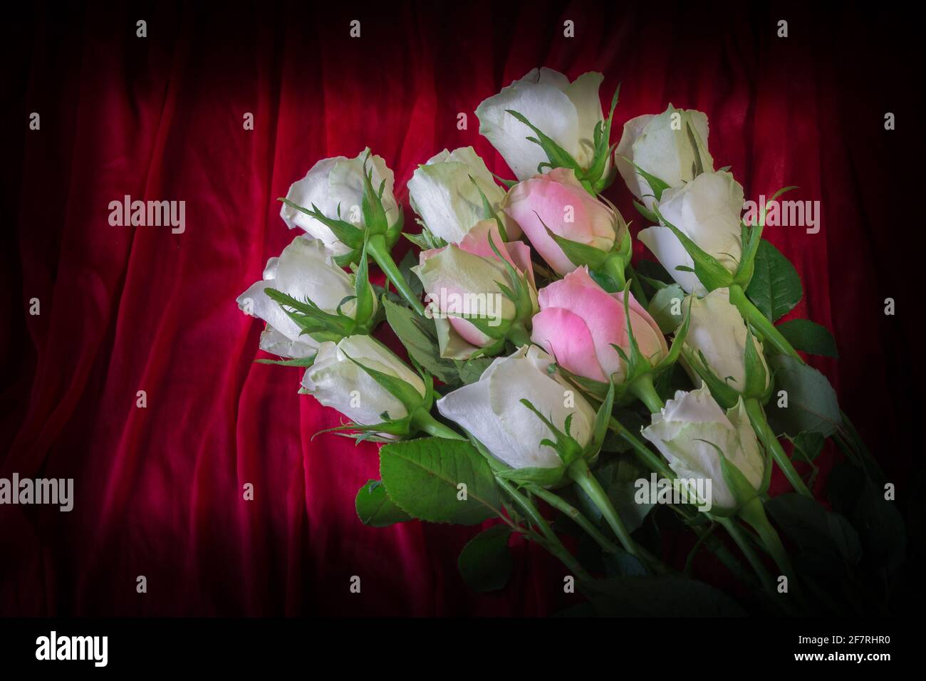 big bouquet of white and pink roses for different occasions, wishes and ...