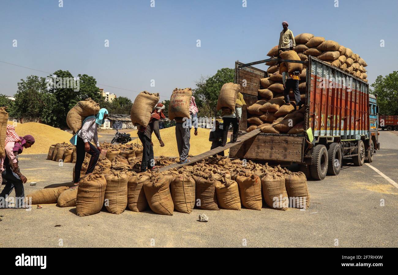 New Delhi, India. 09th Apr, 2021. Indian daily wage workers carrying ...