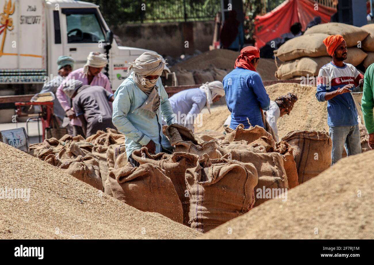 Indian daily wage workers packing 100 Kilogram Paddy grains in jute ...