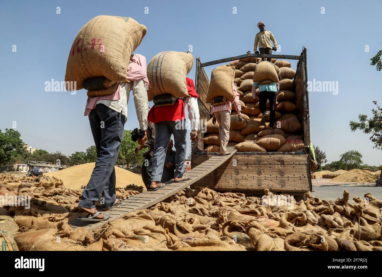 New Delhi, India. 09th Apr, 2021. Indian daily wage workers carrying ...