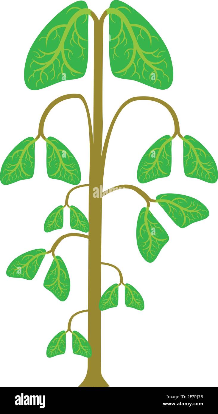 Lungs tree illustration vector isolated on white background Stock ...