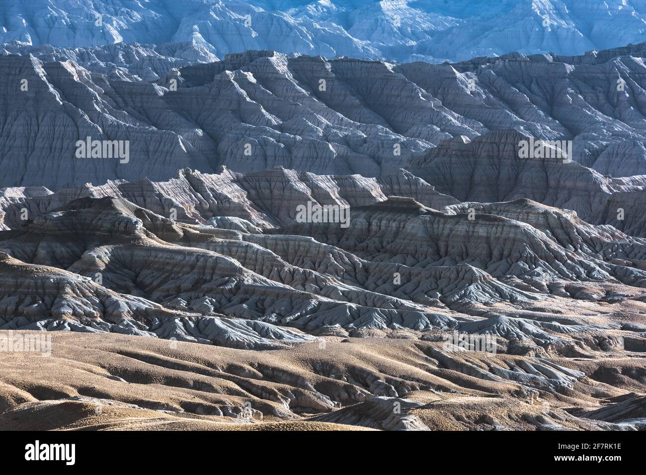 Eroded landscape and rock towers in Zanda soil forest Stock Photo - Alamy