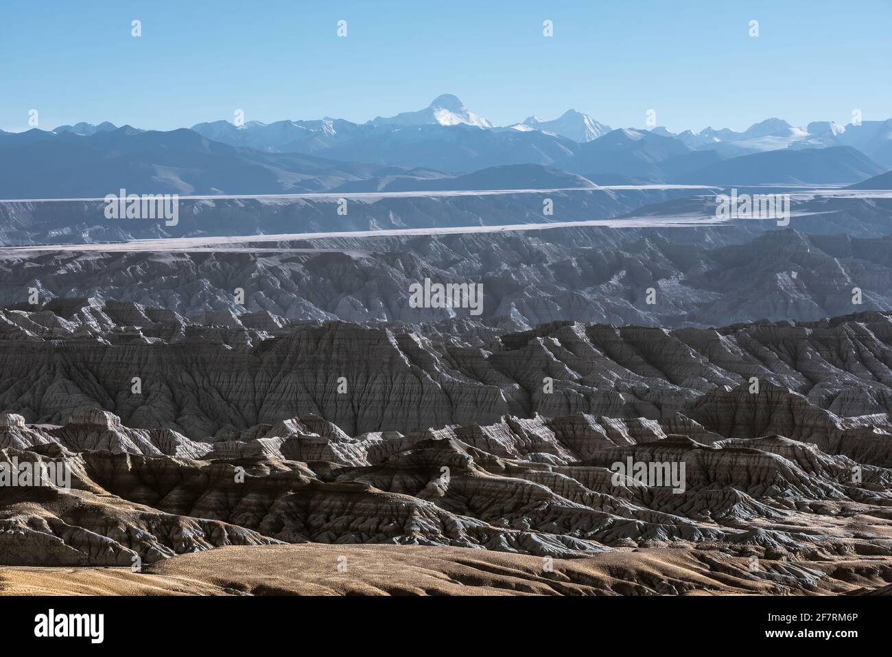 Eroded landscape and rock towers in Zanda soil forest Stock Photo - Alamy
