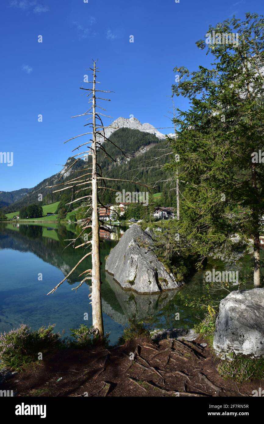 See, Hintersee, Ramsau, Berchtesgaden, Berchtesgadener Land ...