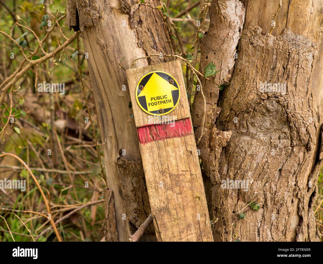 A broken footpath sign in the country laying useless against a tree ...