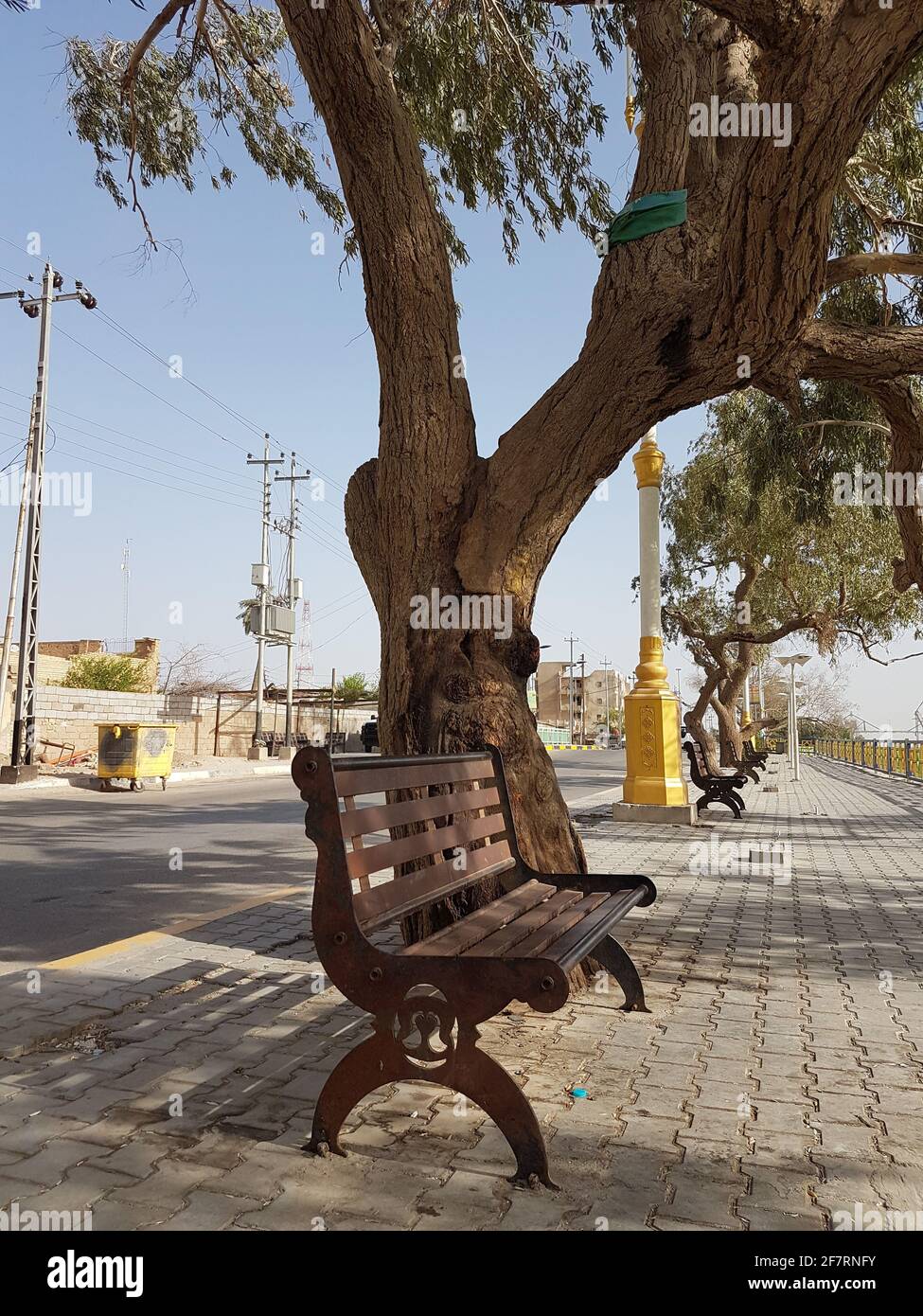 basra, Iraq - april 8, 2016: photo of trees on the side walk in basra ...