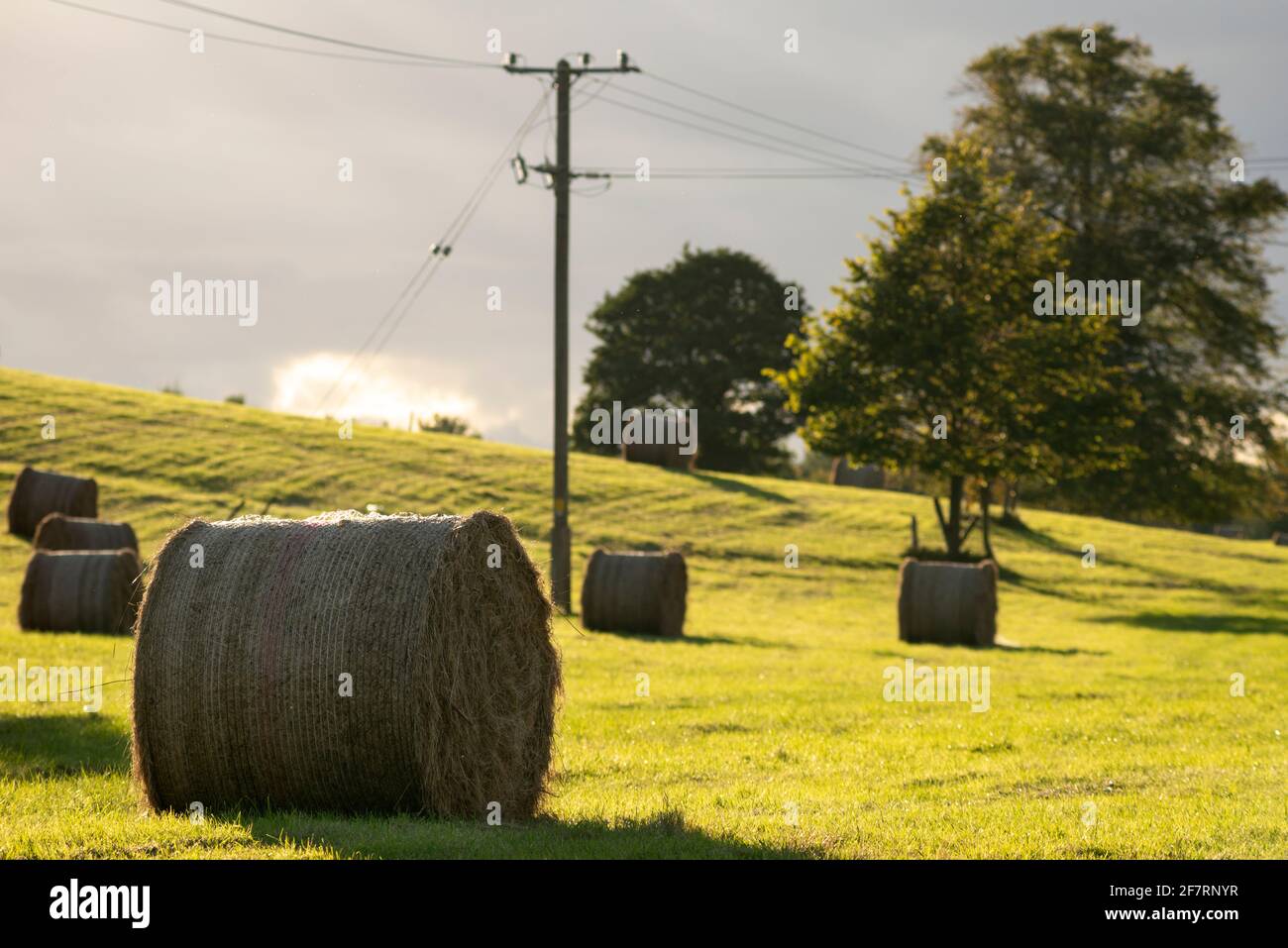 Rural Autumnal landscape view of hay bales during the harvest season in ...