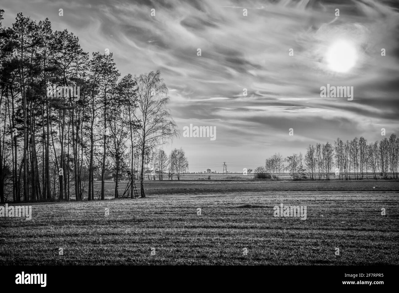 Beautiful spring grass outdoors Black and White Stock Photos & Images ...