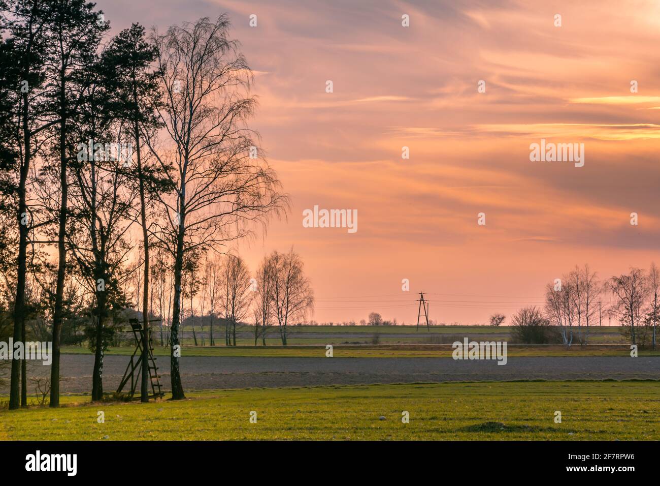 Sunset illuminating the spring fields Stock Photo - Alamy
