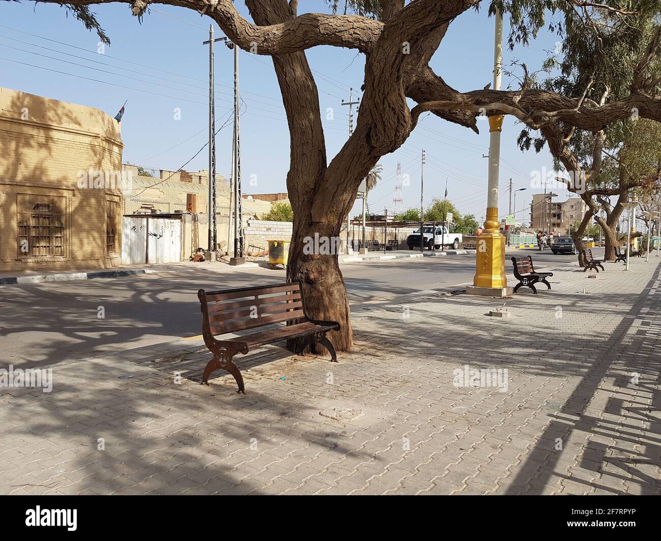basra, Iraq - april 8, 2016: photo of trees on the side walk in basra ...