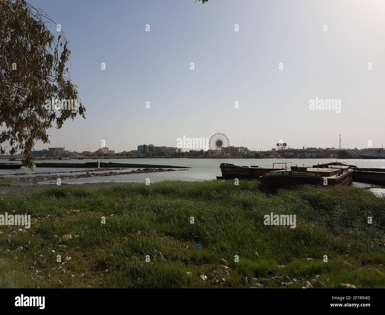 basra, Iraq - april 8, 2016: photo of trees on the side walk in basra ...