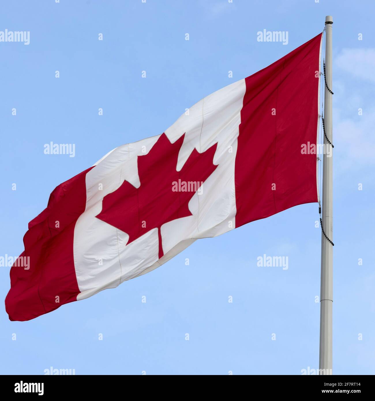 Maple leaf flag hi-res stock photography and images - Alamy
