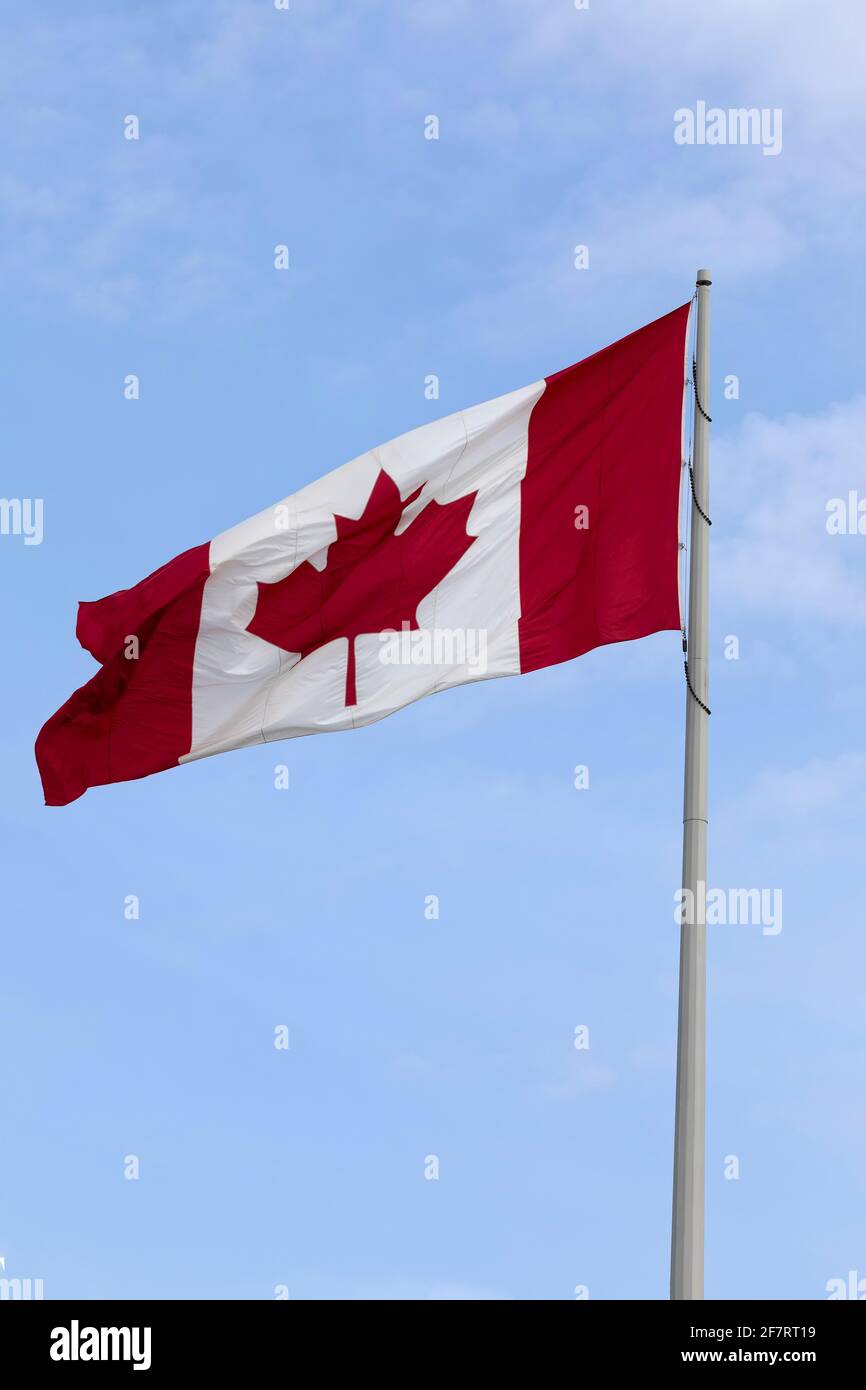 Canadian maple leaf hi-res stock photography and images - Alamy