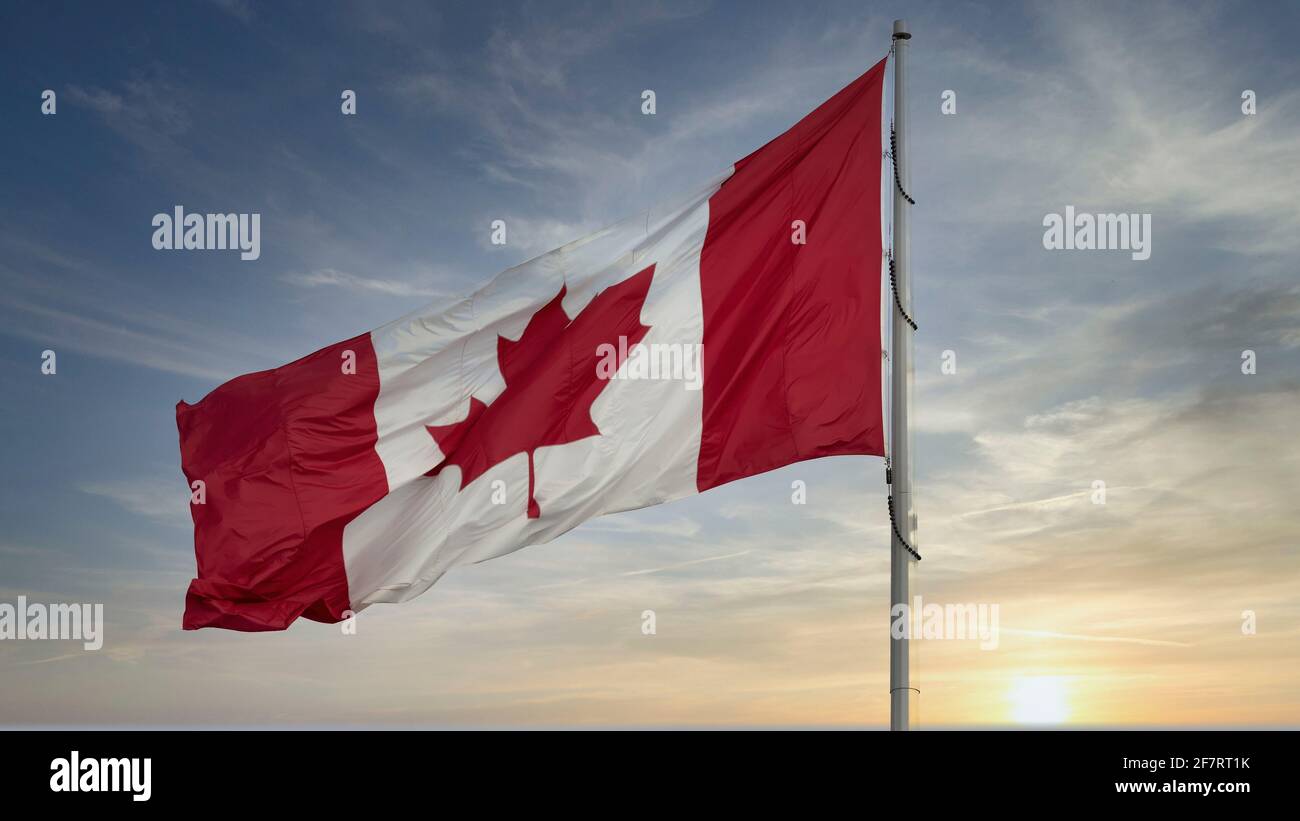Canadian Maple Leaf flag on flagpole Stock Photo - Alamy