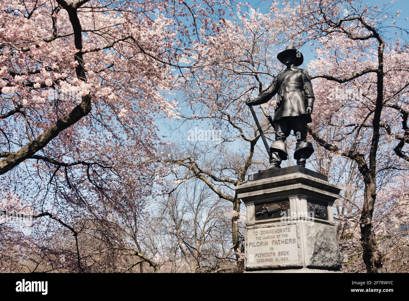 The Pilgrim Statue, Pilgrim Hill, Central Park, NYC Stock Photo - Alamy