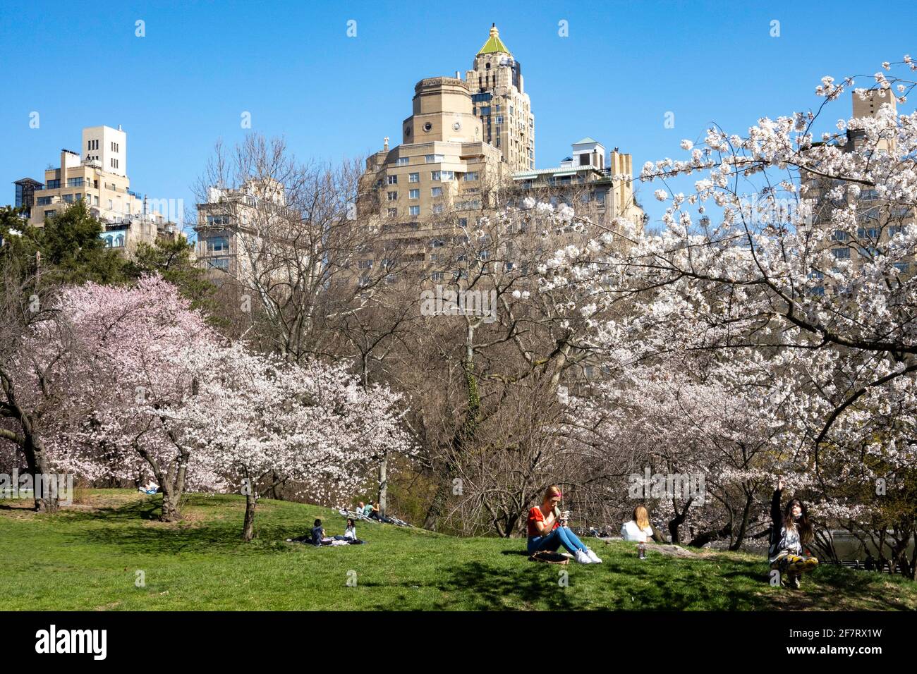 Central Park is beautiful in the springtime, NYC, USA Stock Photo - Alamy