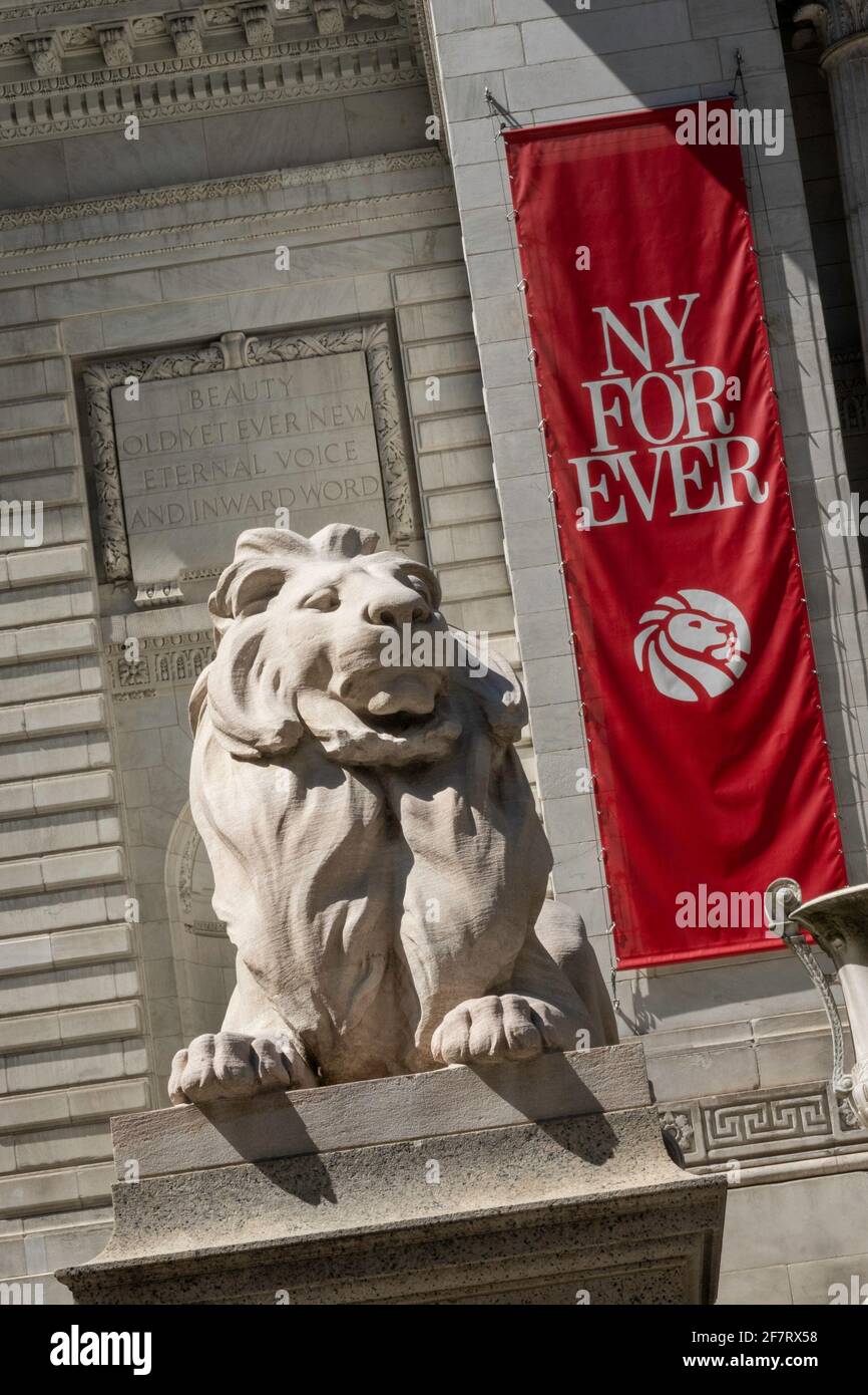 Lion in front of the New York Public Library with "NY Forever" banner ...