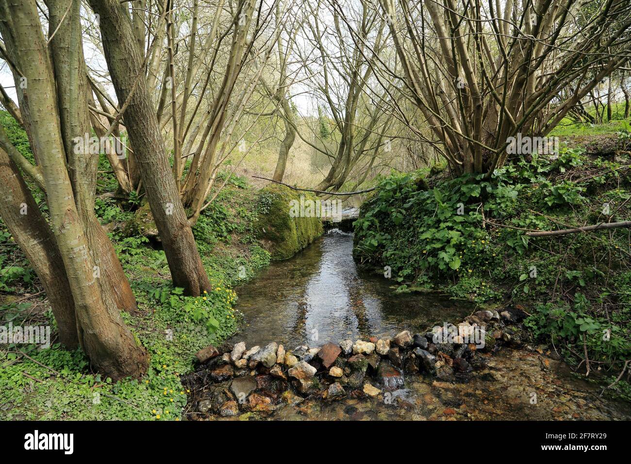 Stream damed with stones at Stowting, Kent, England, United Kingdom ...