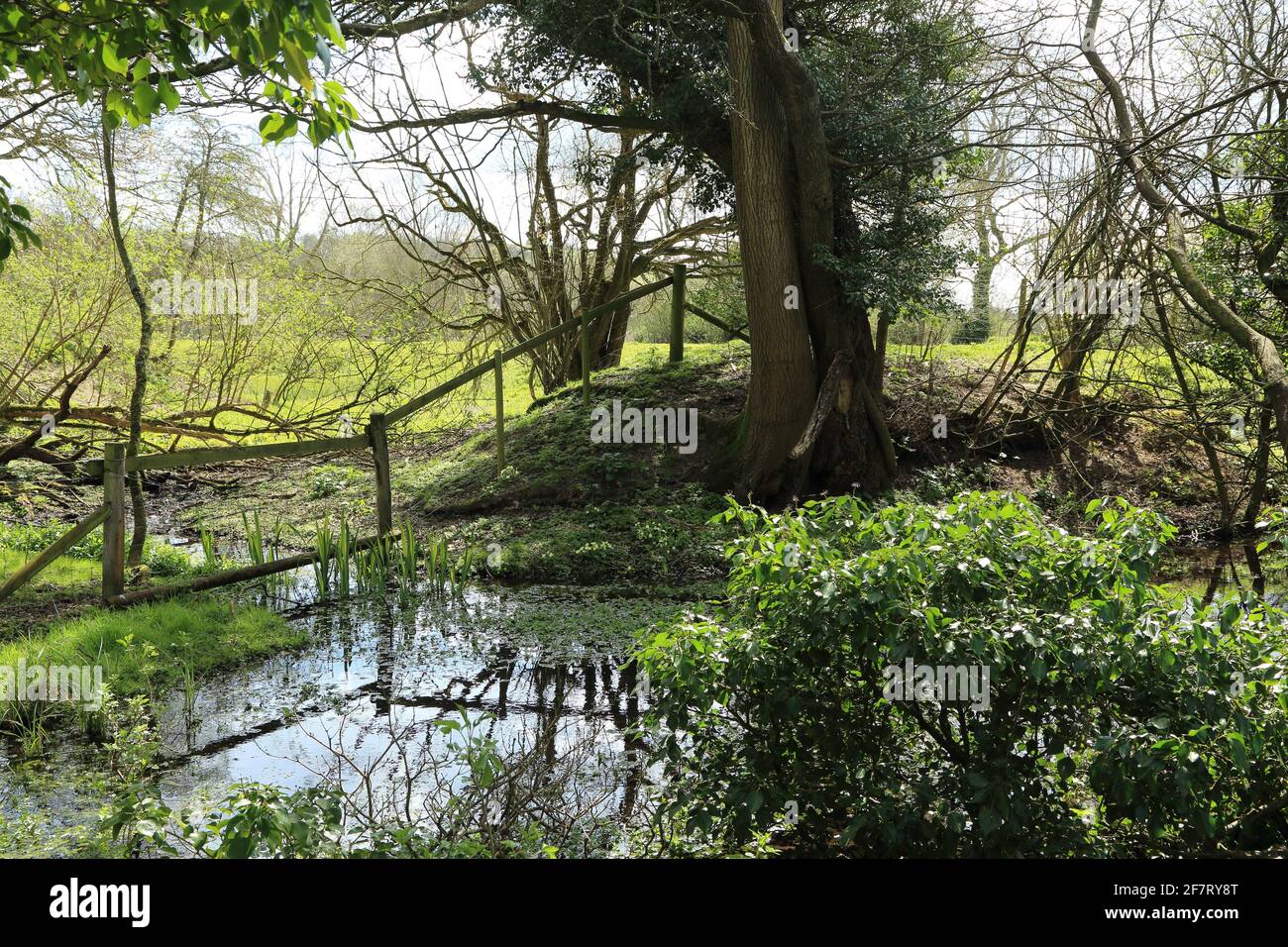 Pond and stream at Stowting, Kent, England, United Kingdom Stock Photo ...