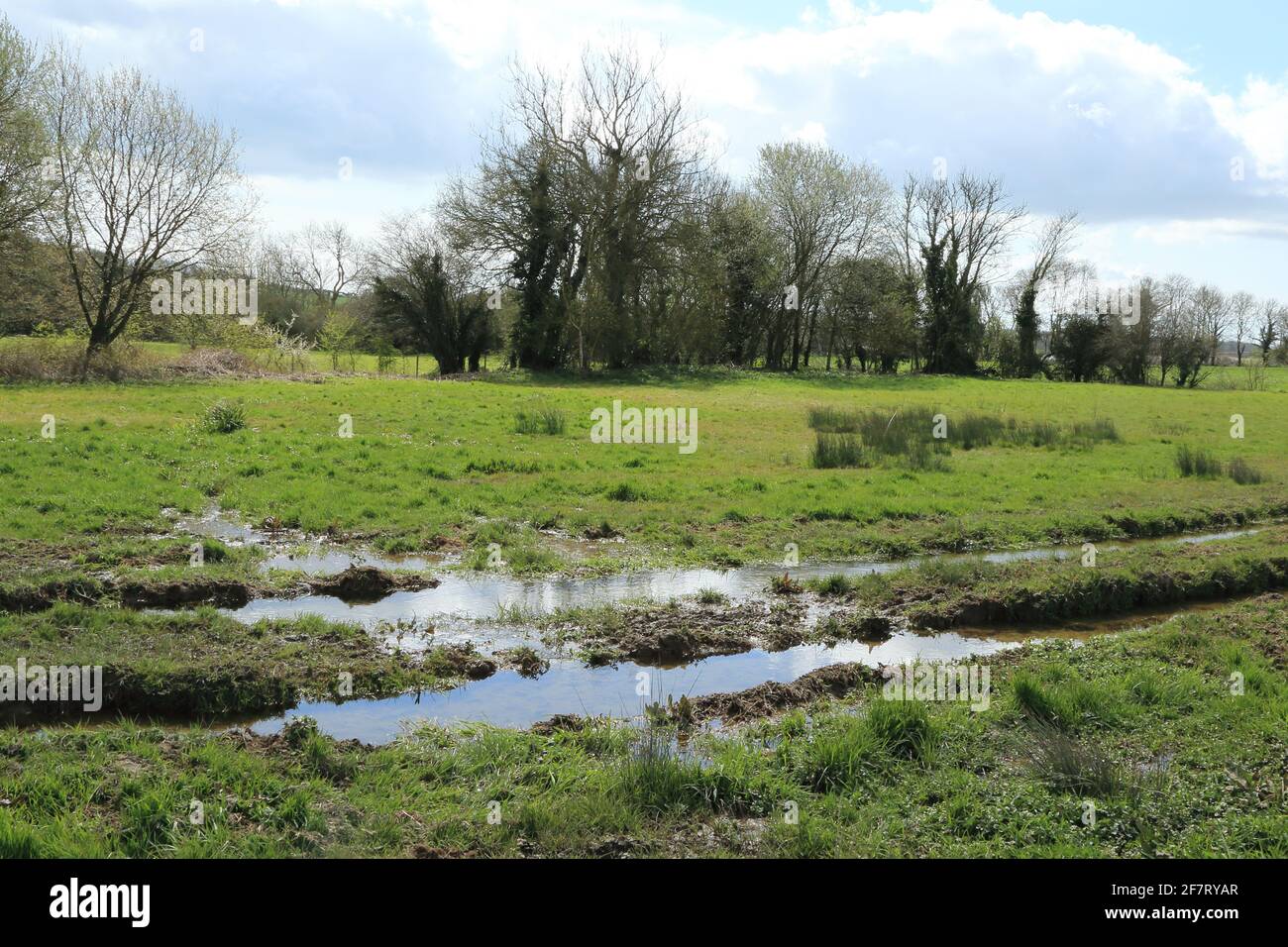 Walterlogged field with water in tractor tracks at Stowting, Kent ...