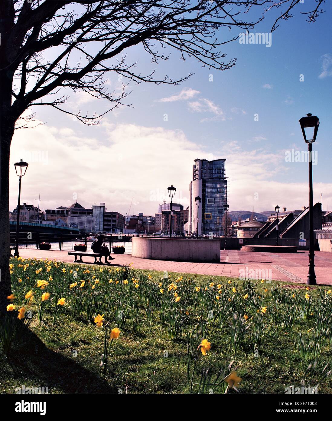 Spring by the river Lagan Belfast Medium format film street photography ...