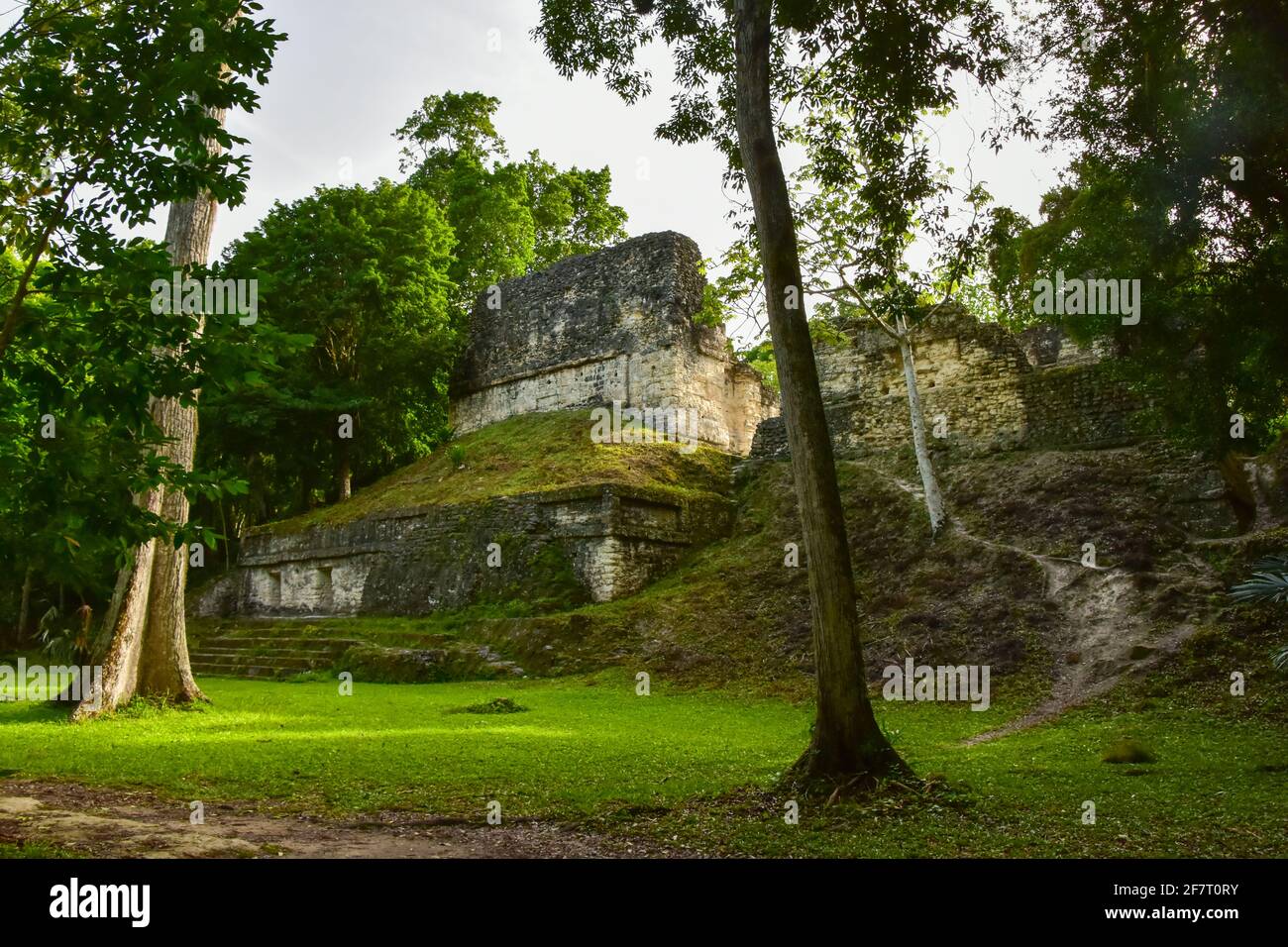 The Seven Temples Square (Plaza de Los Siete Templos) at Tikal, Guatemala Stock Photo - Alamy