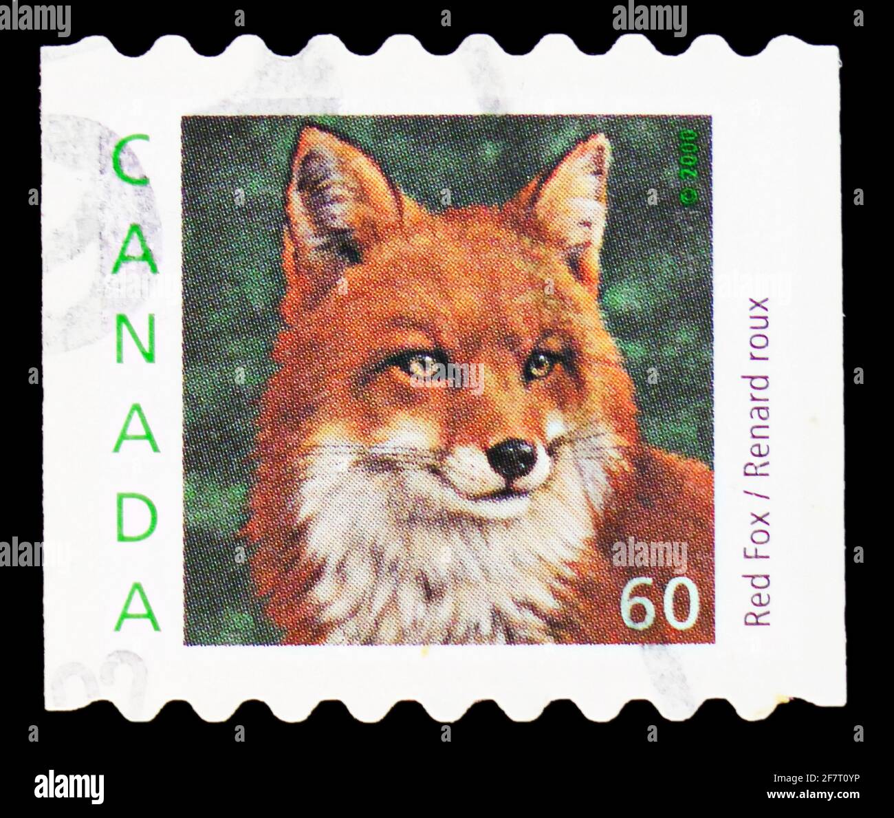 MOSCOW, RUSSIA - JANUARY 17, 2021: Postage stamp printed in Canada ...