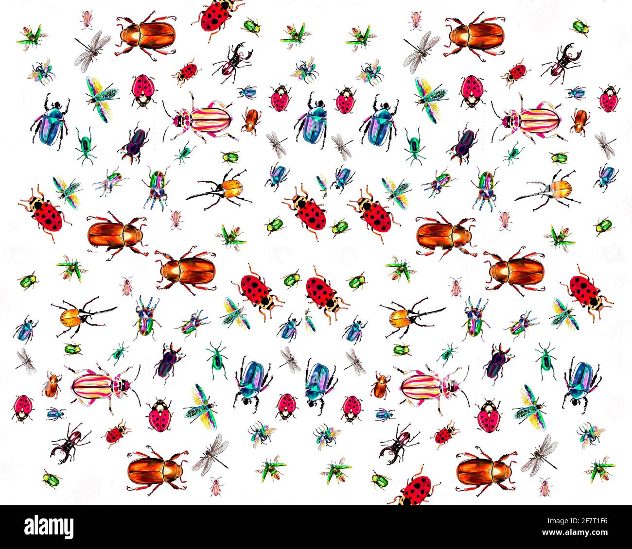 insect and bug patterns for cards fabrics planet Stock Photo - Alamy