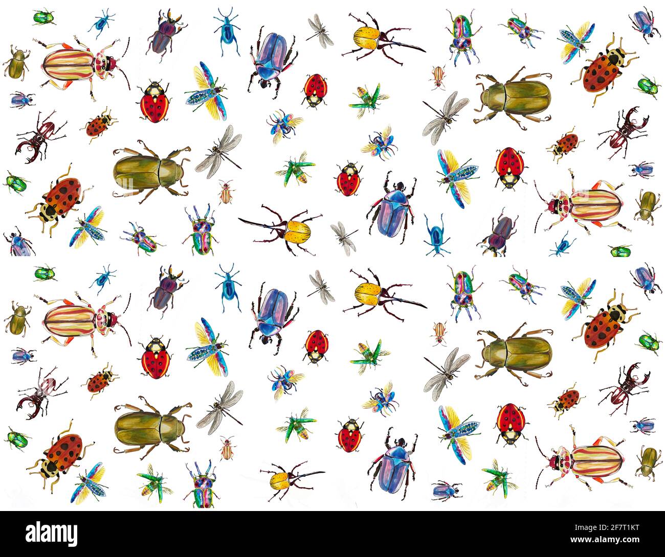 insect and bug patterns for cards fabrics planet Stock Photo - Alamy