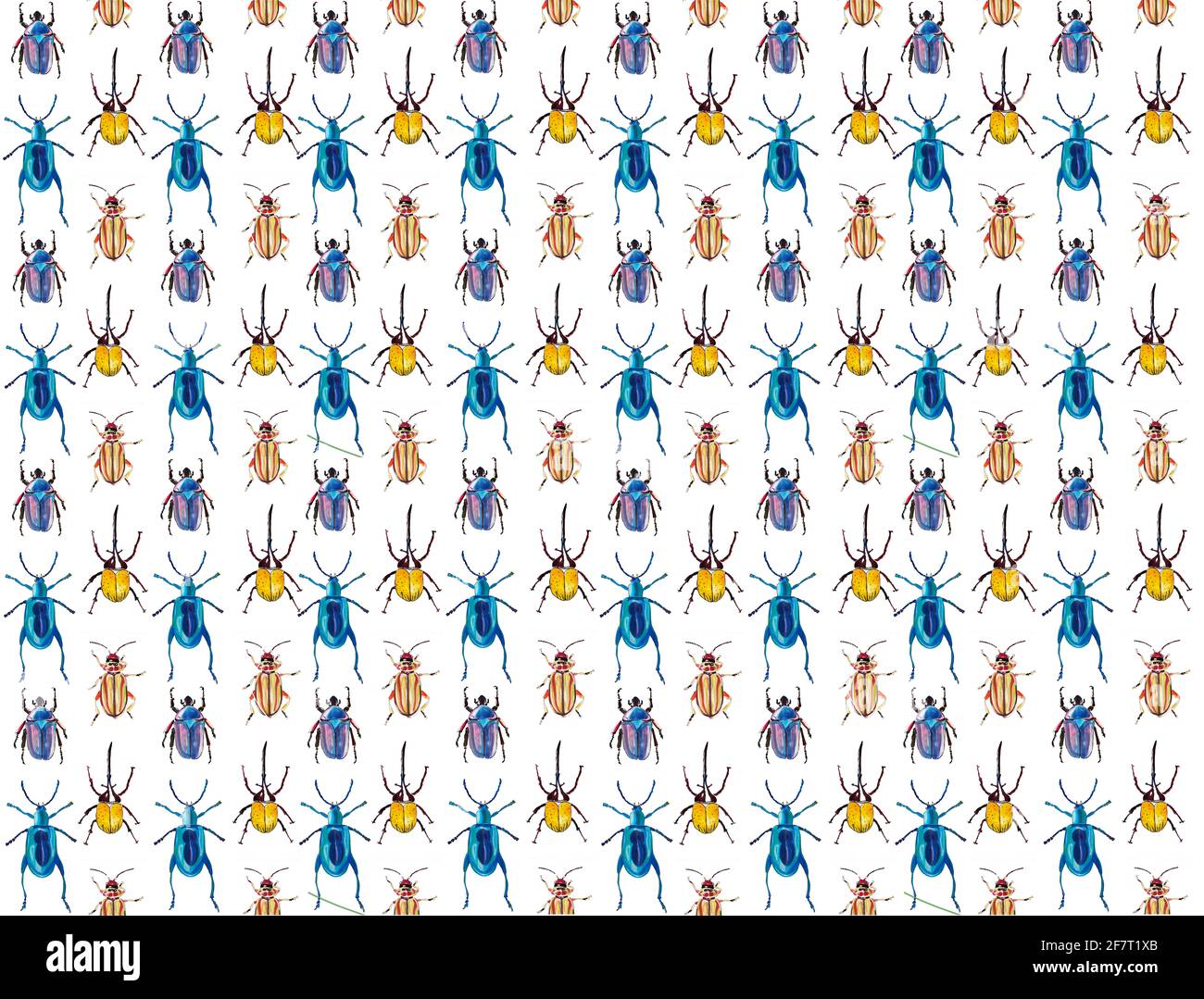 insect and bug patterns for cards fabrics planet Stock Photo - Alamy