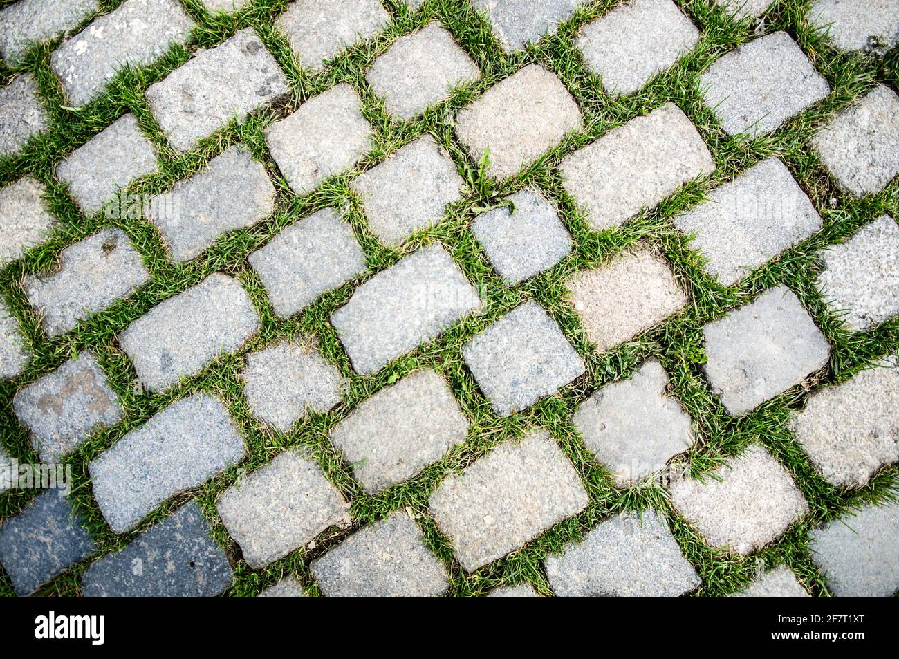 Closeup top down view of stone paved street with patches of grass Stock ...