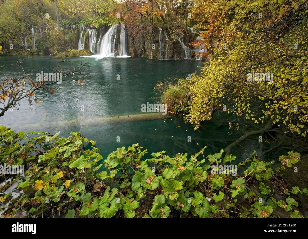 Plitvice National Park, Croatia. Series of lakes in valley, separated ...